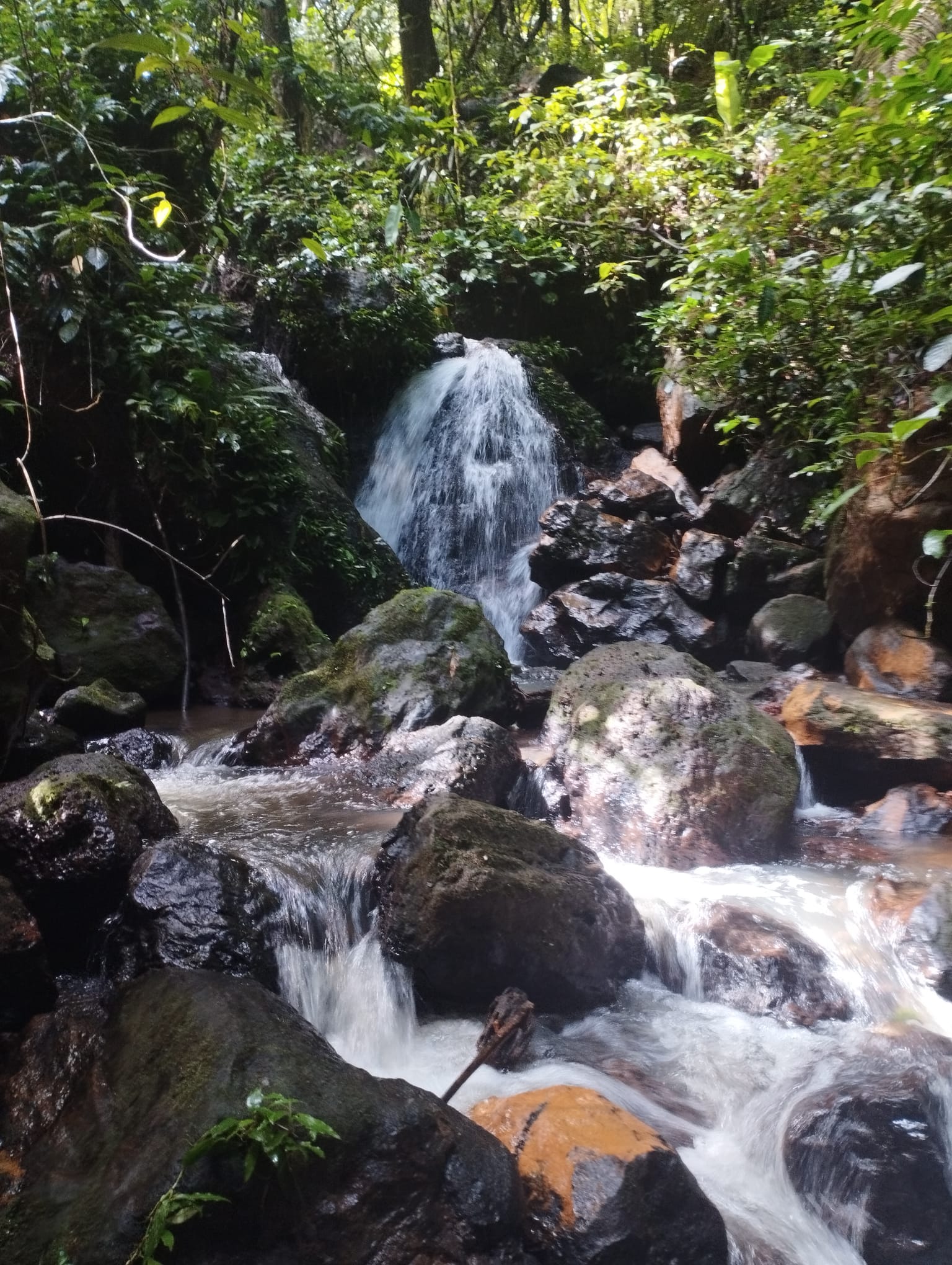 ART'MAZONIE - GUYANE - CARBET - Guyane Amazonie