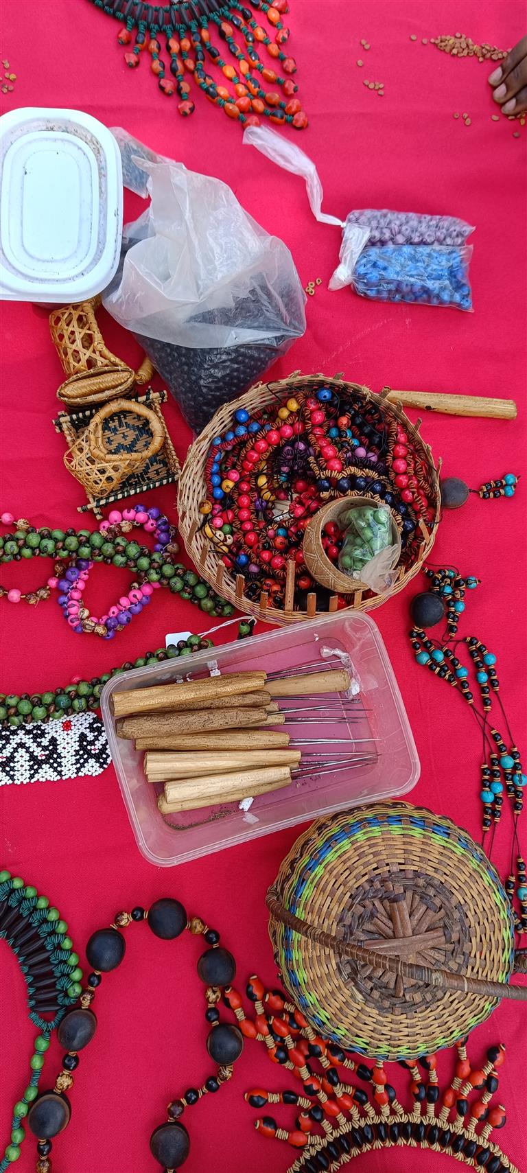 DECOUVERTE DE LA CULTURE AMERINDIENNE PALIKUR DANS L'EST GUYANAIS ...