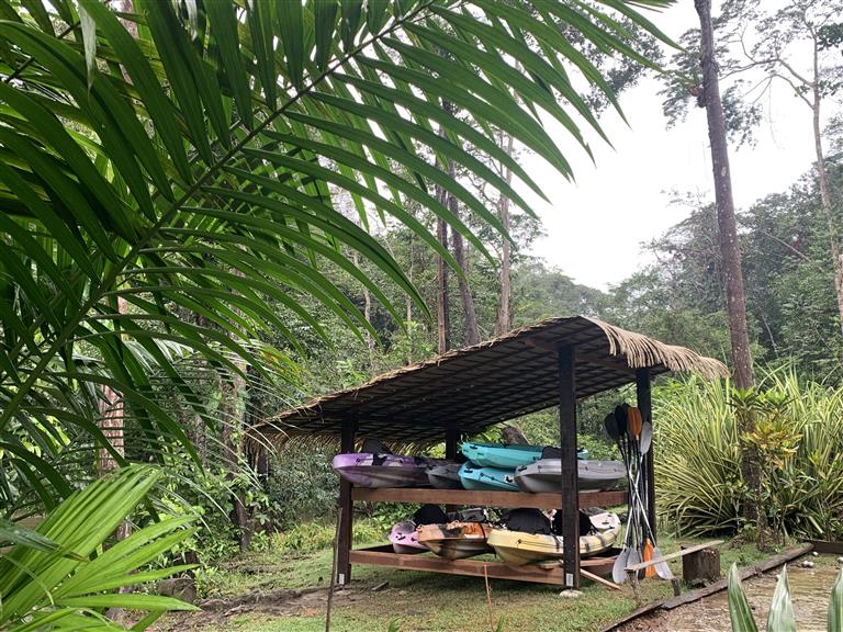LE SOUROU - Guyane Amazonie